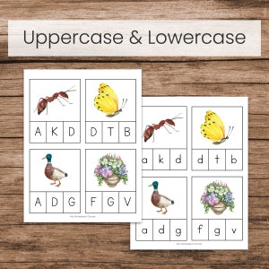 Spring Beginning Sounds Clip Cards (montessori Preschool Phonics ...