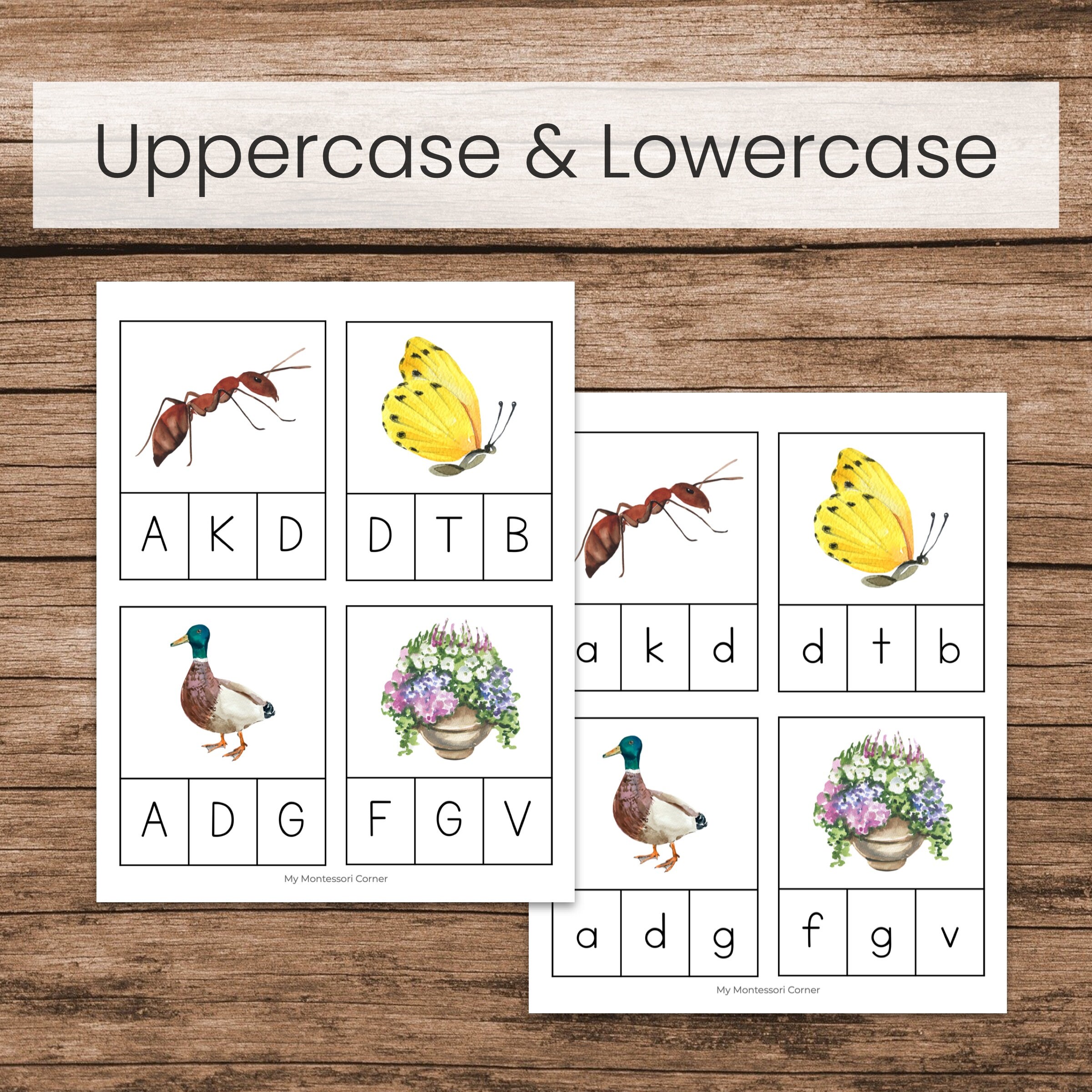 Spring Beginning Sounds Clip Cards (montessori Preschool Phonics ...