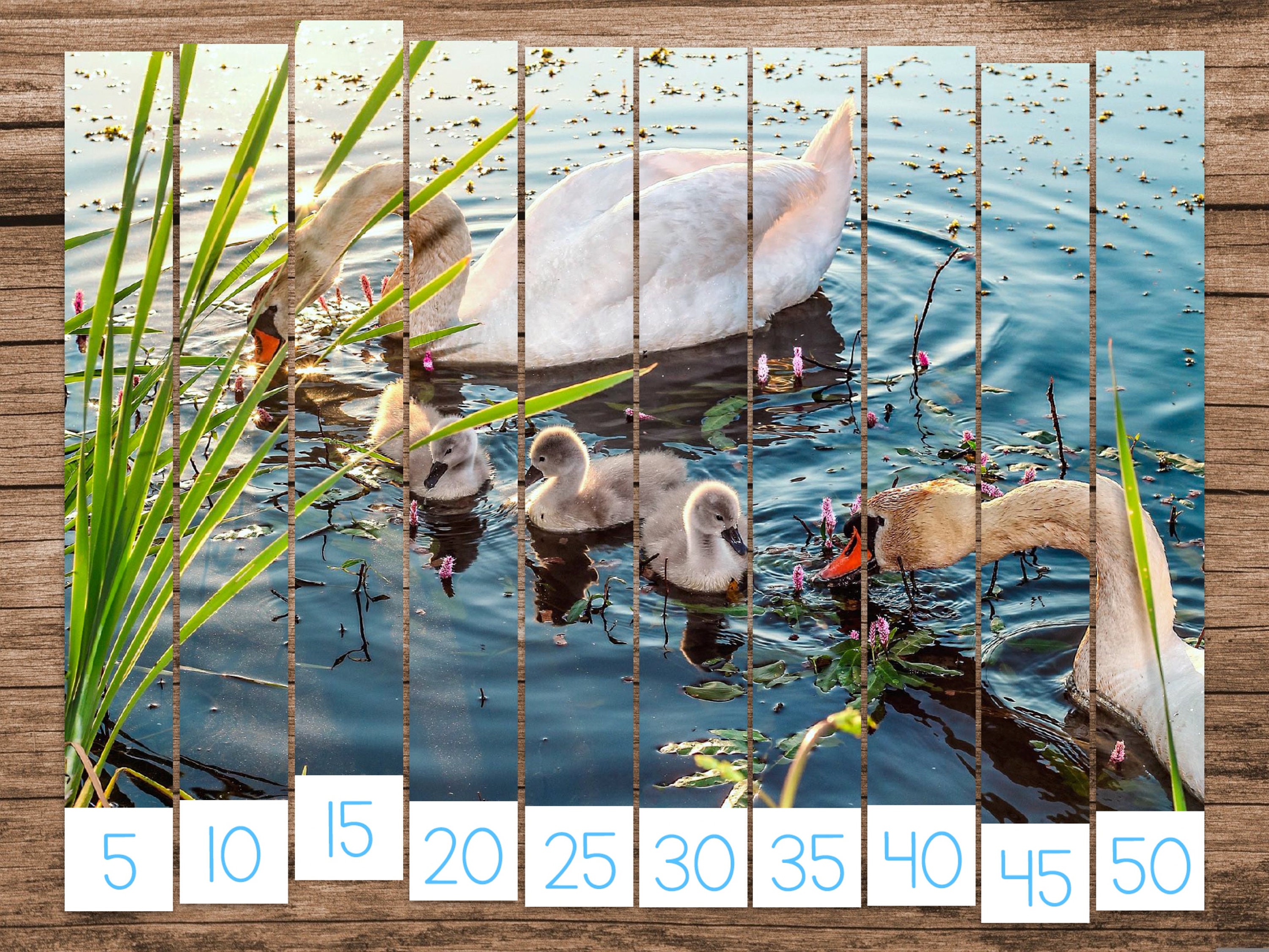 Animal Babies Spring Skip Counting Puzzles (montessori Math Printable ...