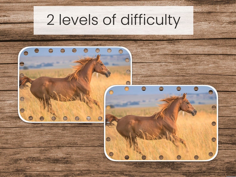 Vertebrate Types Lacing Cards (printable Preschool Fine Motor Activity ...