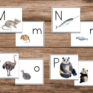 Uppercase-lowercase Alphabet Matching Cards, Mother and Baby Animals ...