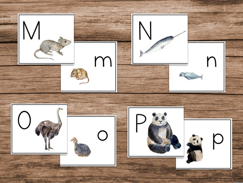 Uppercase-lowercase Alphabet Matching Cards, Mother and Baby Animals ...
