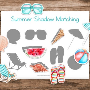 Summer Matching and Sorting Activities (montessori Preschool Binder ...