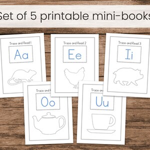 CVC Trace & Read Books (montessori Pink Series Printable) - Etsy