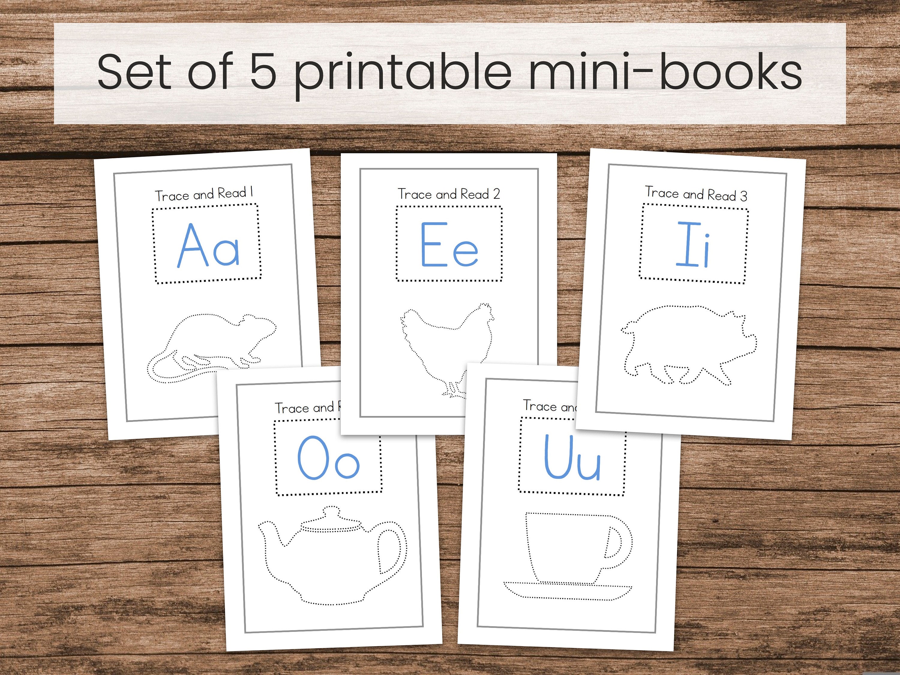 CVC Trace & Read Books (montessori Pink Series Printable) - Etsy