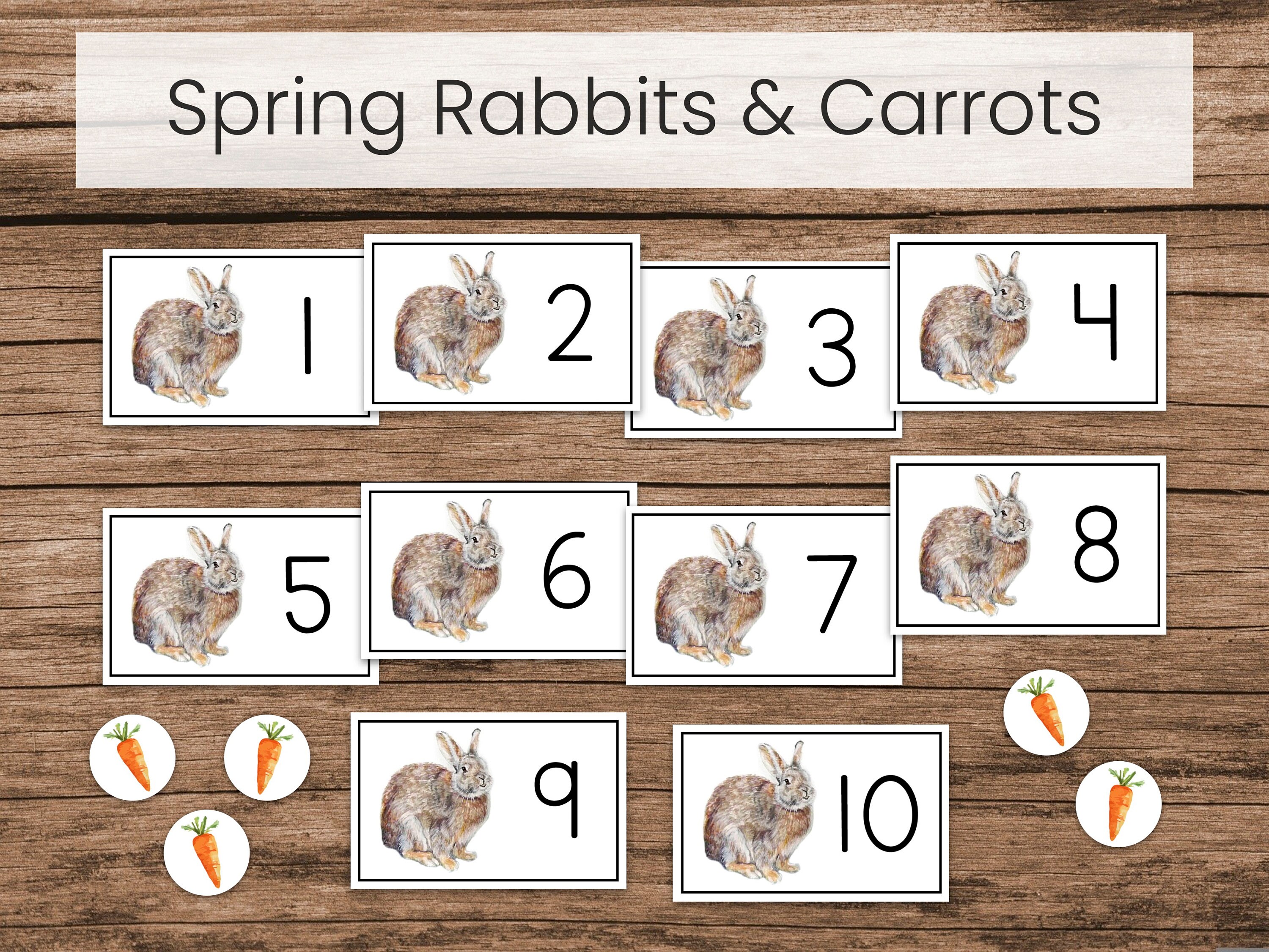 Montessori Numbers and Counters Activity - Four Seasons Bundle - Etsy
