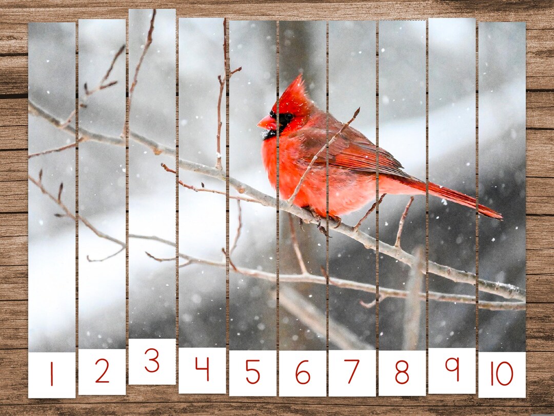 Winter Birds Skip Counting Puzzles (montessori Math Printable) - Etsy
