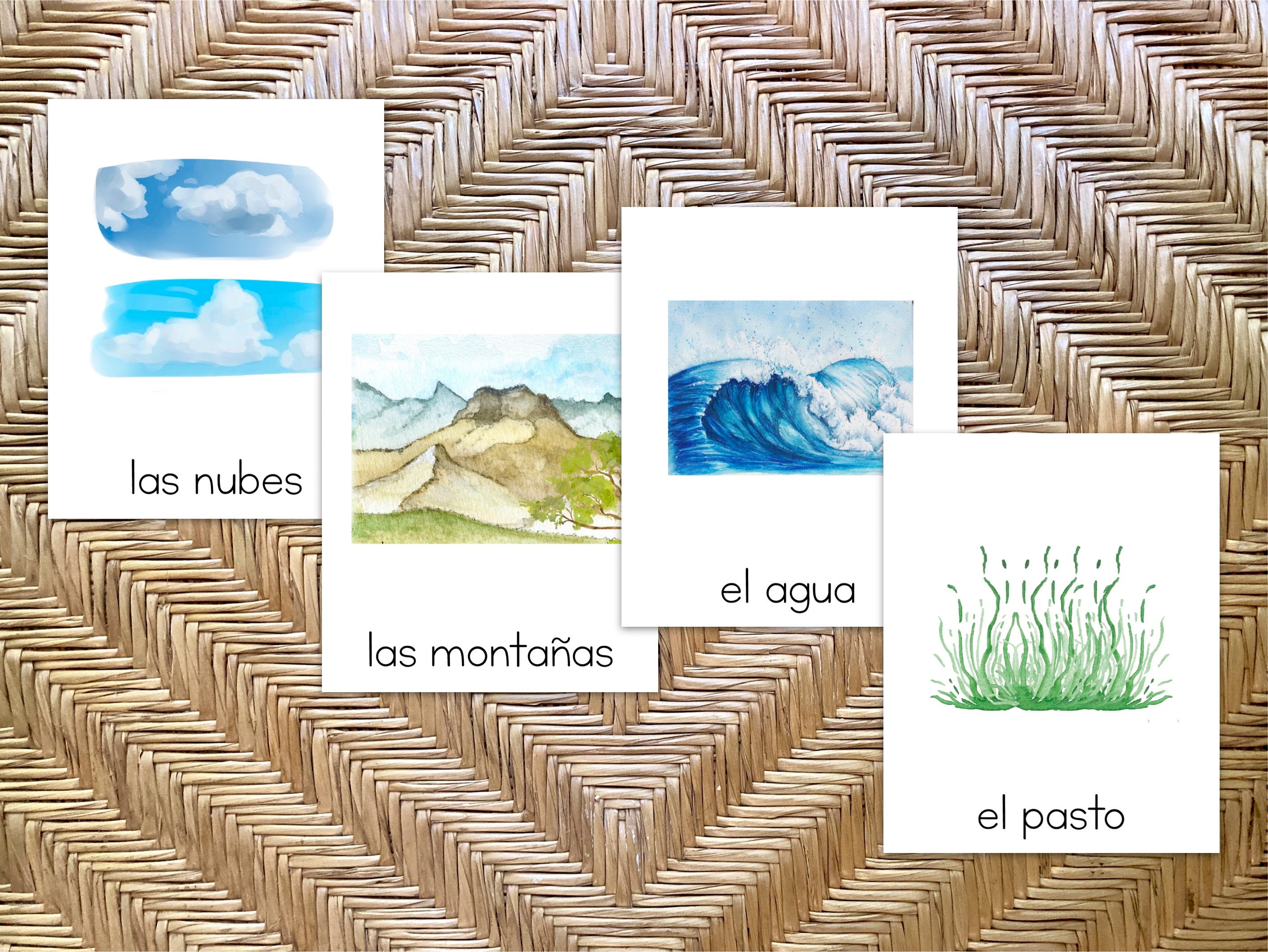 SPANISH Nature 3-part Cards: Montessori Preschool and Homeschool ...