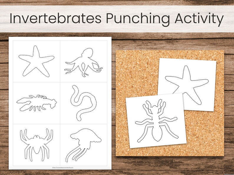 Invertebrates Punching or Tracing Activity (montessori Fine Motor ...