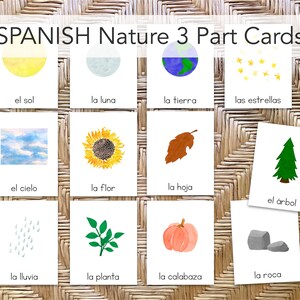SPANISH 3-part Cards Basics Bundle: Shapes, Colors, Numbers, Nature ...