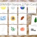 SPANISH 3-part Cards Basics Bundle: Shapes, Colors, Numbers, Nature ...