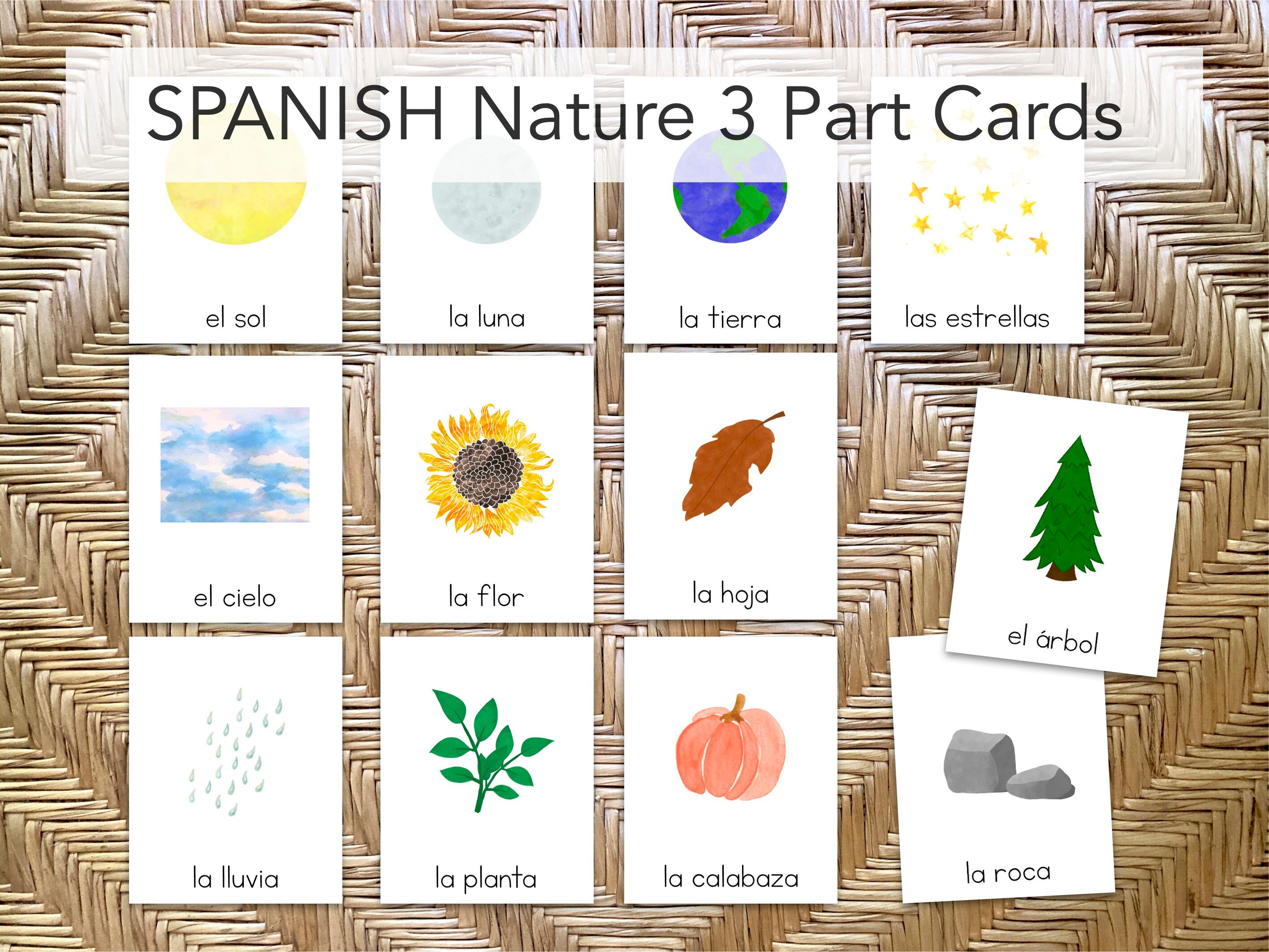SPANISH 3-part Cards Basics Bundle: Shapes, Colors, Numbers, Nature ...