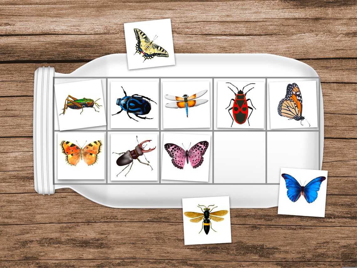 Montessori Hundred Board Math Game: Bugs and Butterflies (printable) - Etsy