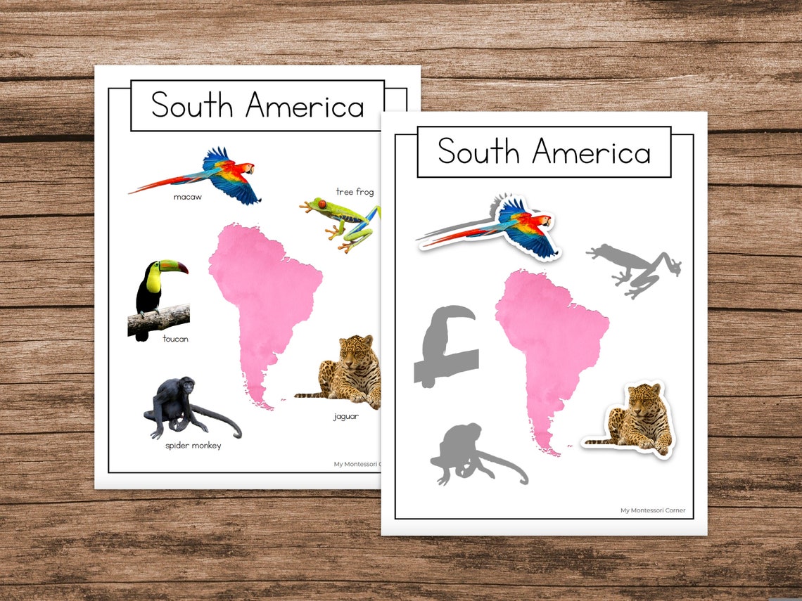 Animals of the Continents Shadow Matching, Sorting, and Posters, Real ...