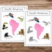 Animals of the Continents Shadow Matching, Sorting, and Posters, Real ...