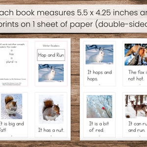 Winter CVC Decodable Readers (montessori Pink Series Books) - Etsy