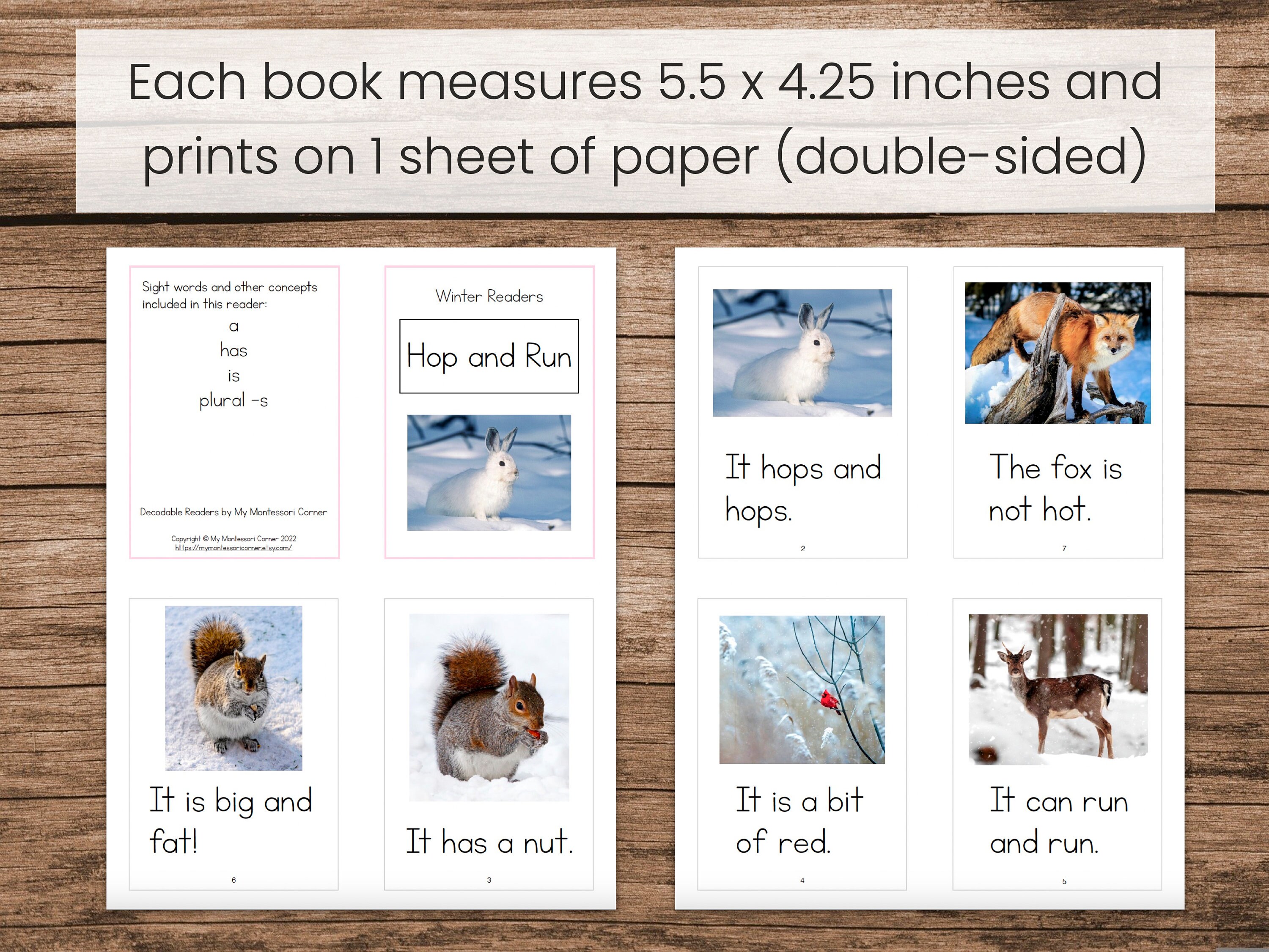 Winter CVC Decodable Readers (montessori Pink Series Books) - Etsy