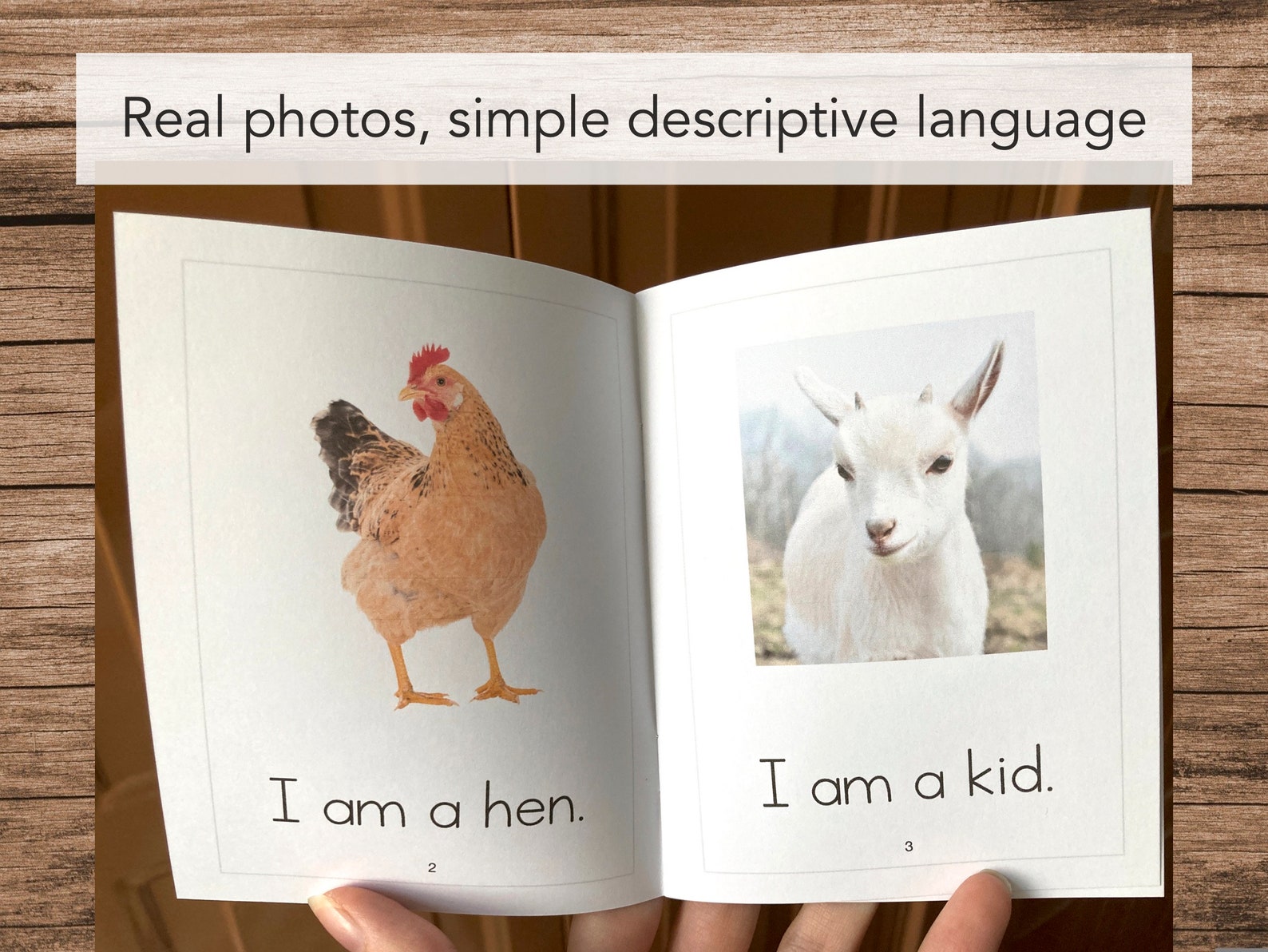 Montessori Pink Series Readers (CVC Decodable Reading Books) - Etsy