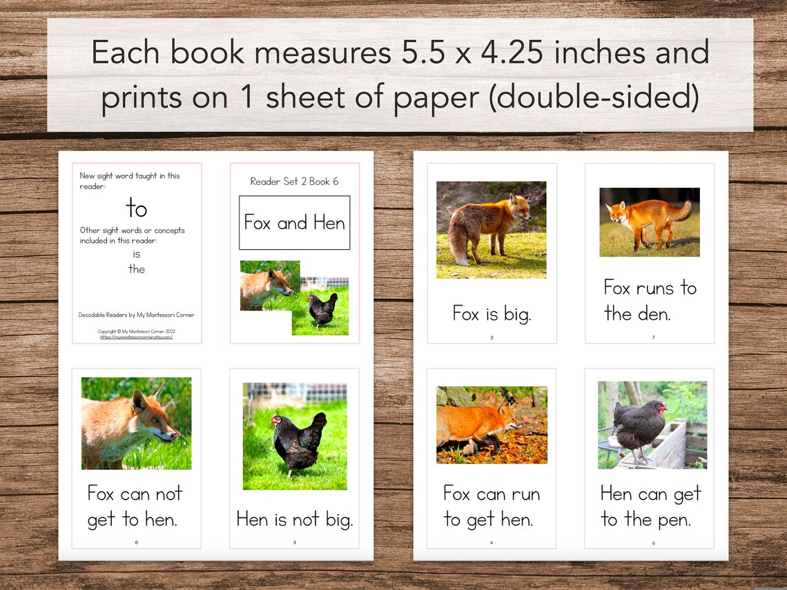 Montessori Pink Series Readers Set 2 decodable CVC Phonetic - Etsy