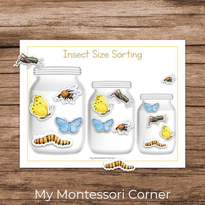 Spring Busy Binder, Preschool Matching Activities Printable - Updated ...