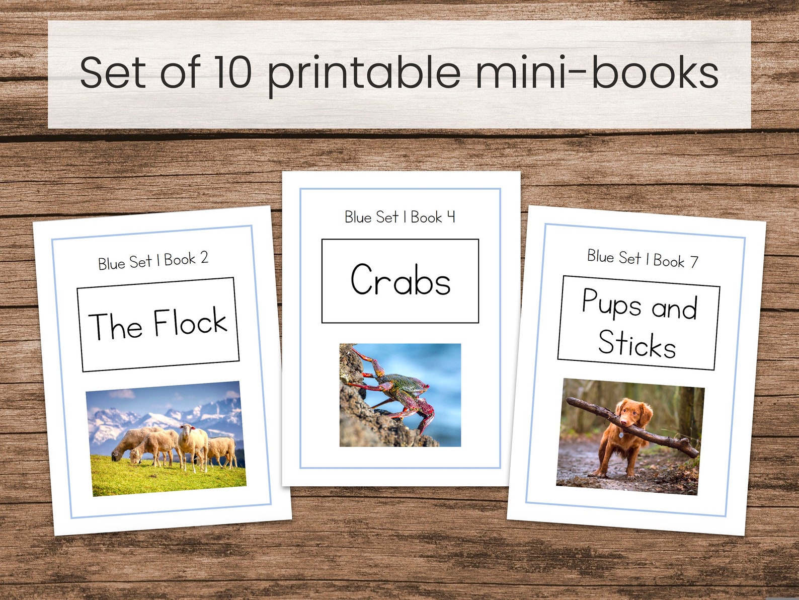 Montessori Blue Series Readers Set 1 (decodable Phonetic Books) - Etsy