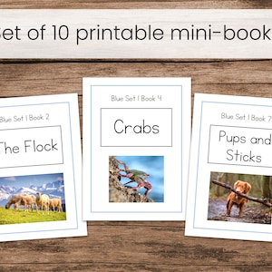 Montessori Blue Series Readers Set 1 (decodable Phonetic Books) - Etsy