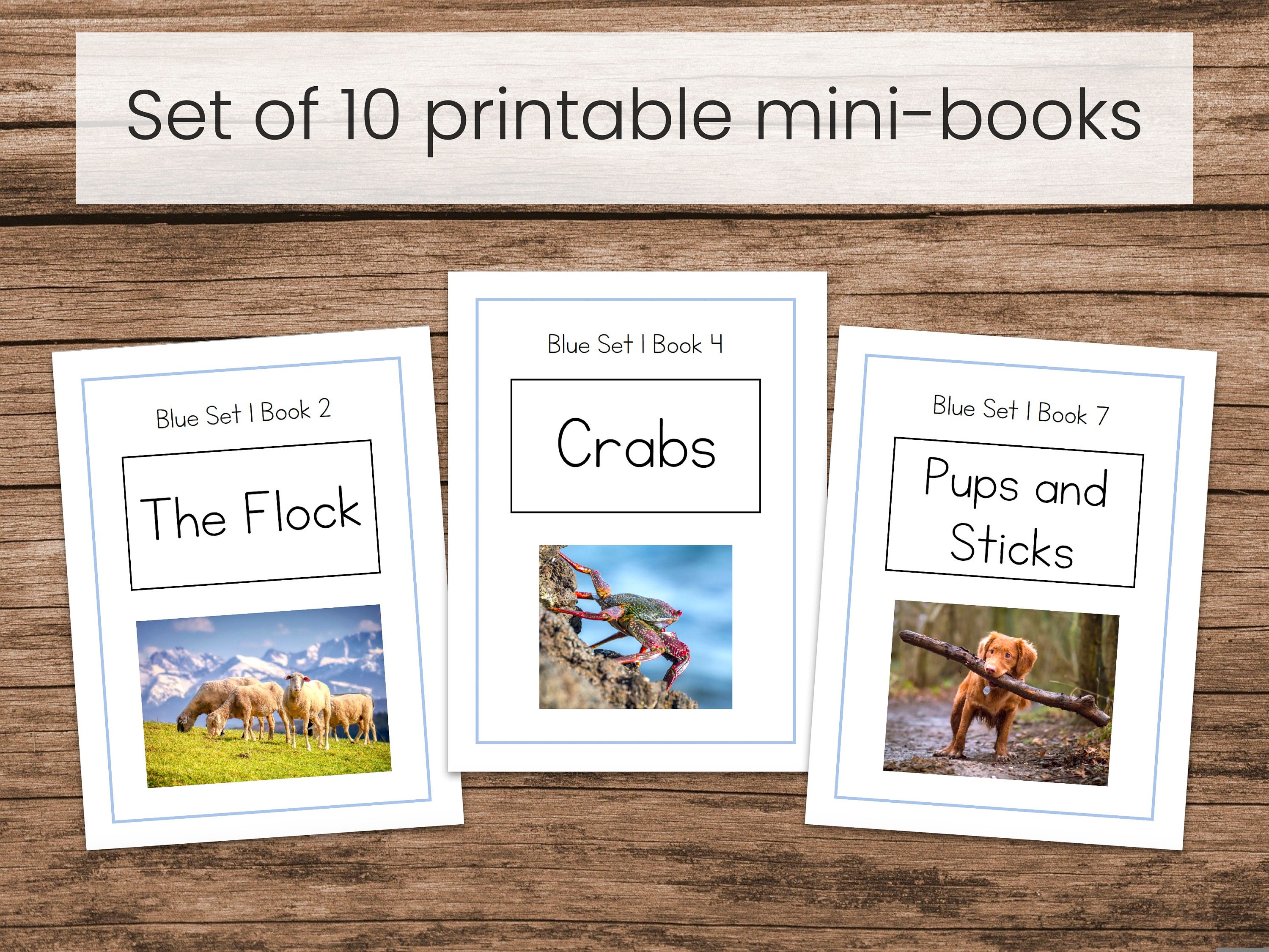 Montessori Blue Series Readers Set 1 (decodable Phonetic Books) - Etsy