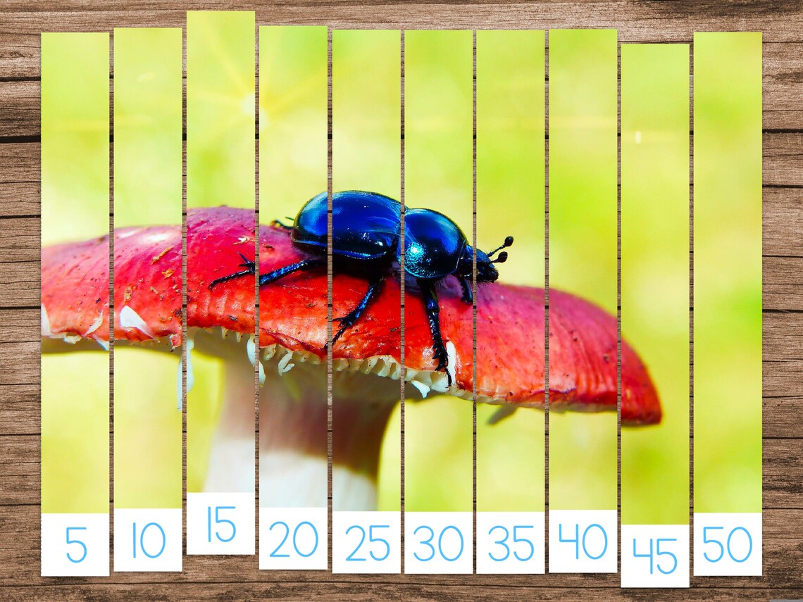 Summer Skip Counting Puzzles Insects and Minibeasts montessori Math ...