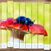 Summer Skip Counting Puzzles Insects and Minibeasts montessori Math ...