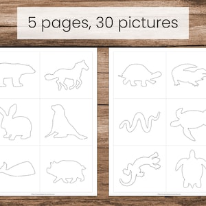 Vertebrates Punching or Tracing Activity (montessori Fine Motor ...
