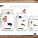 Insects Match and Sort preschool Printable Binder Activities - Etsy