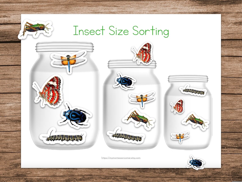 Insects Match and Sort (preschool Printable Binder Activities) - Etsy