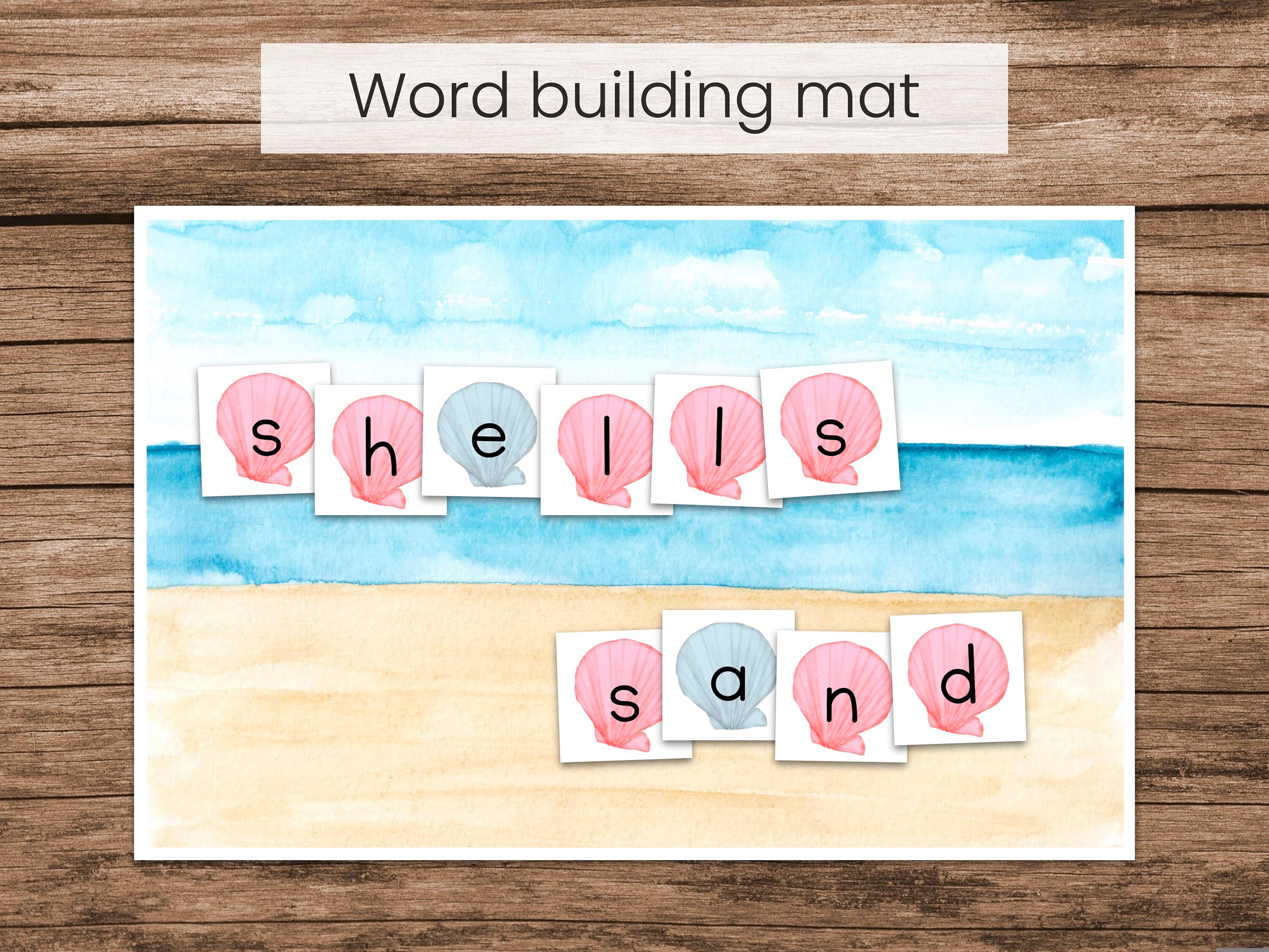 Summer Moveable Alphabet Seashell Activities (montessori Preschool ...