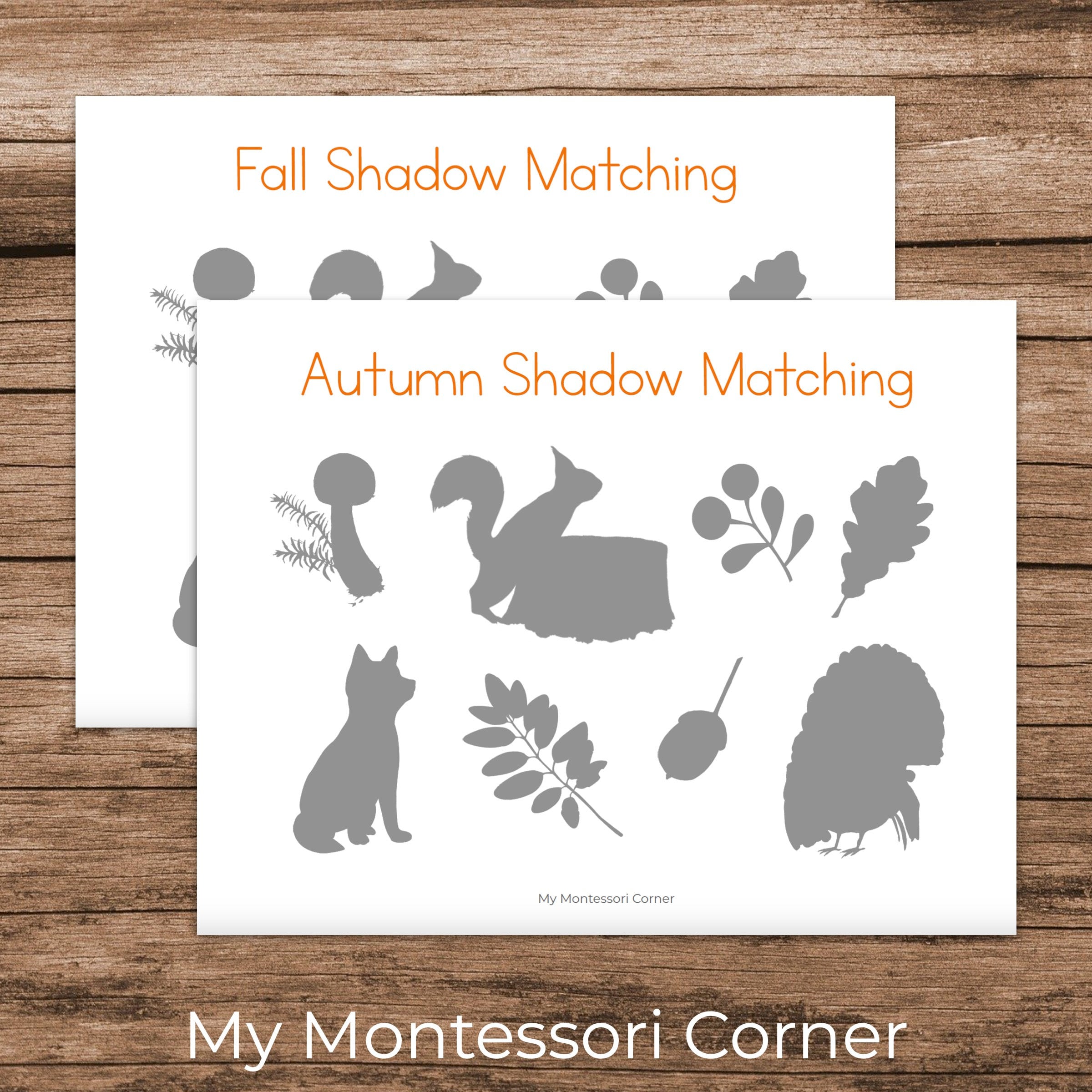 Fall Matching and Sorting Activities (autumn Montessori Preschool ...