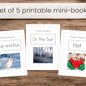 Winter CVC Decodable Readers (montessori Pink Series Books) - Etsy