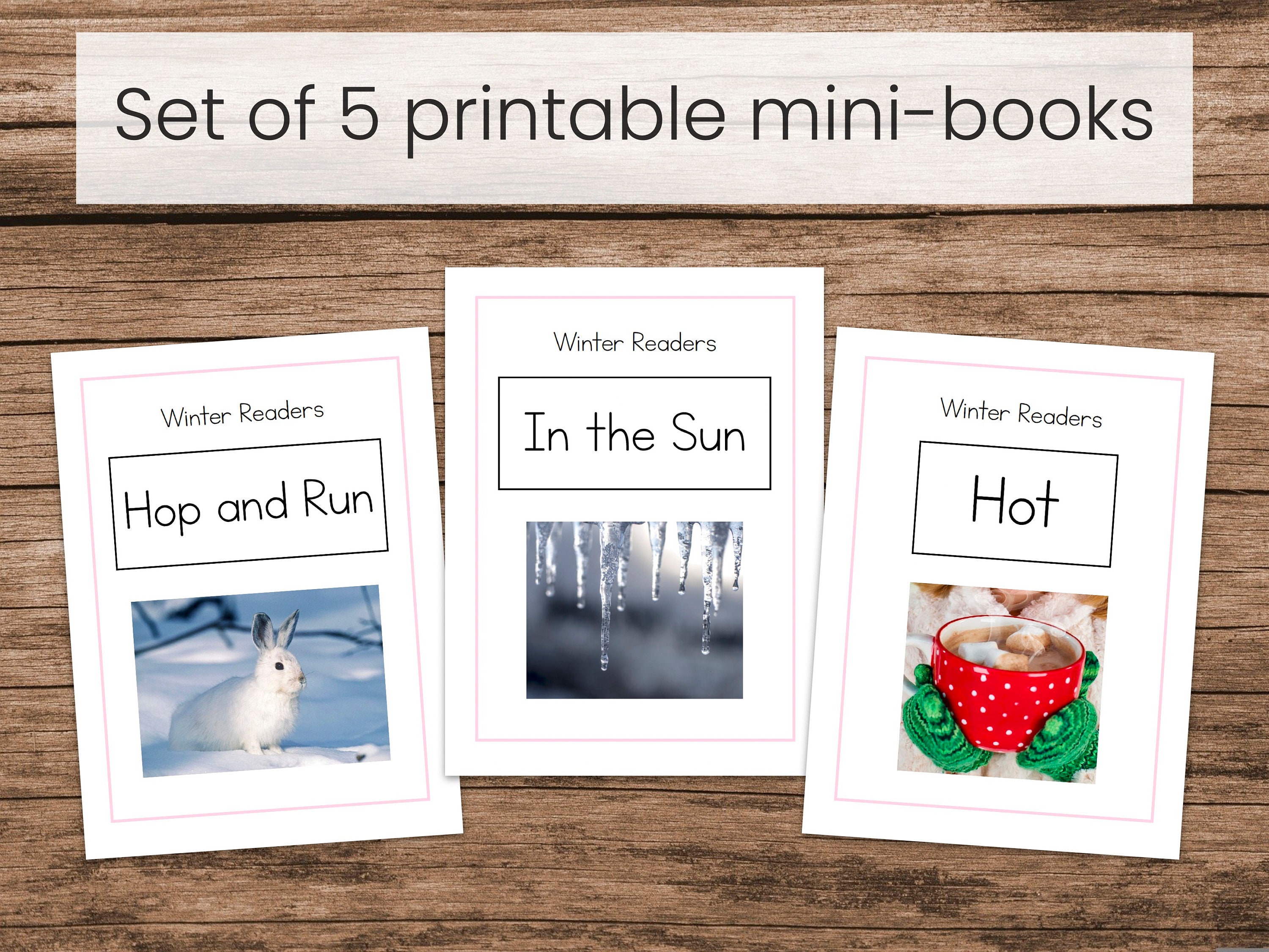 Winter CVC Decodable Readers (montessori Pink Series Books) - Etsy