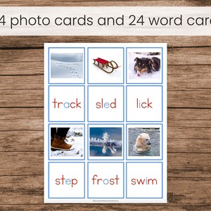 Winter Montessori Blue Series Reading Cards (picture and Word Matching ...