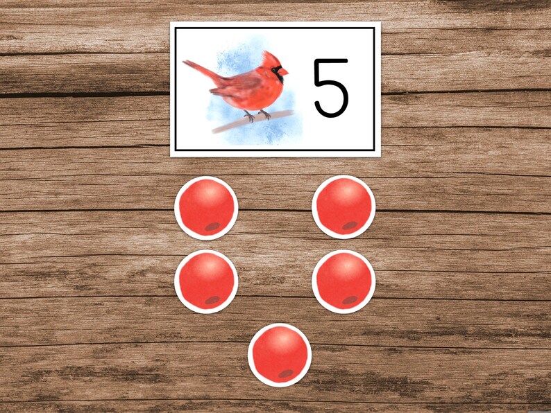 Winter Numbers and Counters Activity - Cardinals Theme - Etsy
