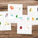 Summer Beginning Sounds Clip Cards (montessori Preschool Phonics ...