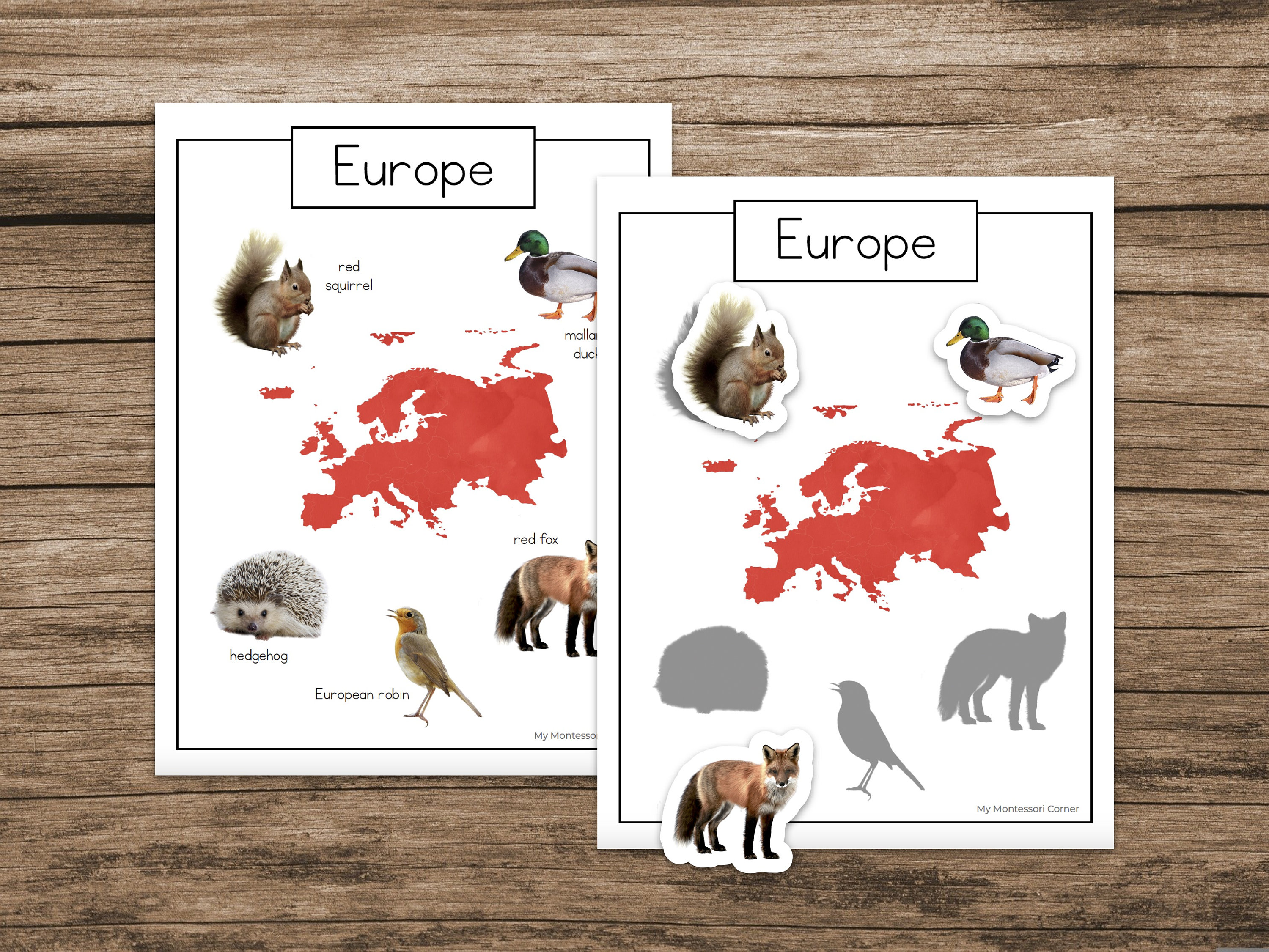 Animals of the Continents Shadow Matching, Sorting, and Posters, Real ...