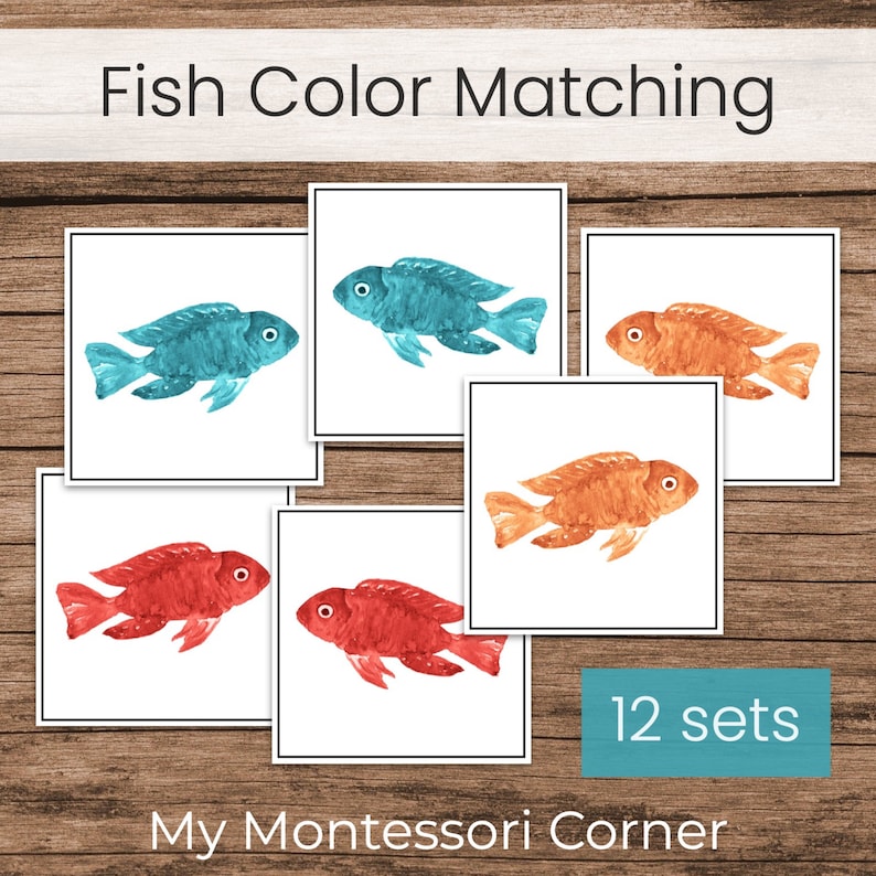 Summer Ocean Fish Color Matching Cards, Montessori Preschool and ...