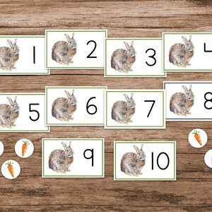 Spring Rabbit Numbers and Counters Activity (montessori Preschool Math ...