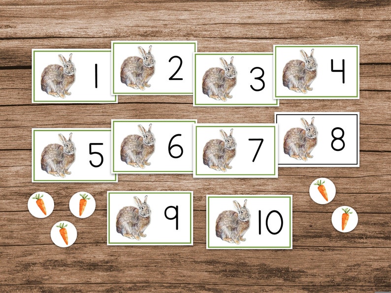 Spring Rabbit Numbers and Counters Activity (montessori Preschool Math ...
