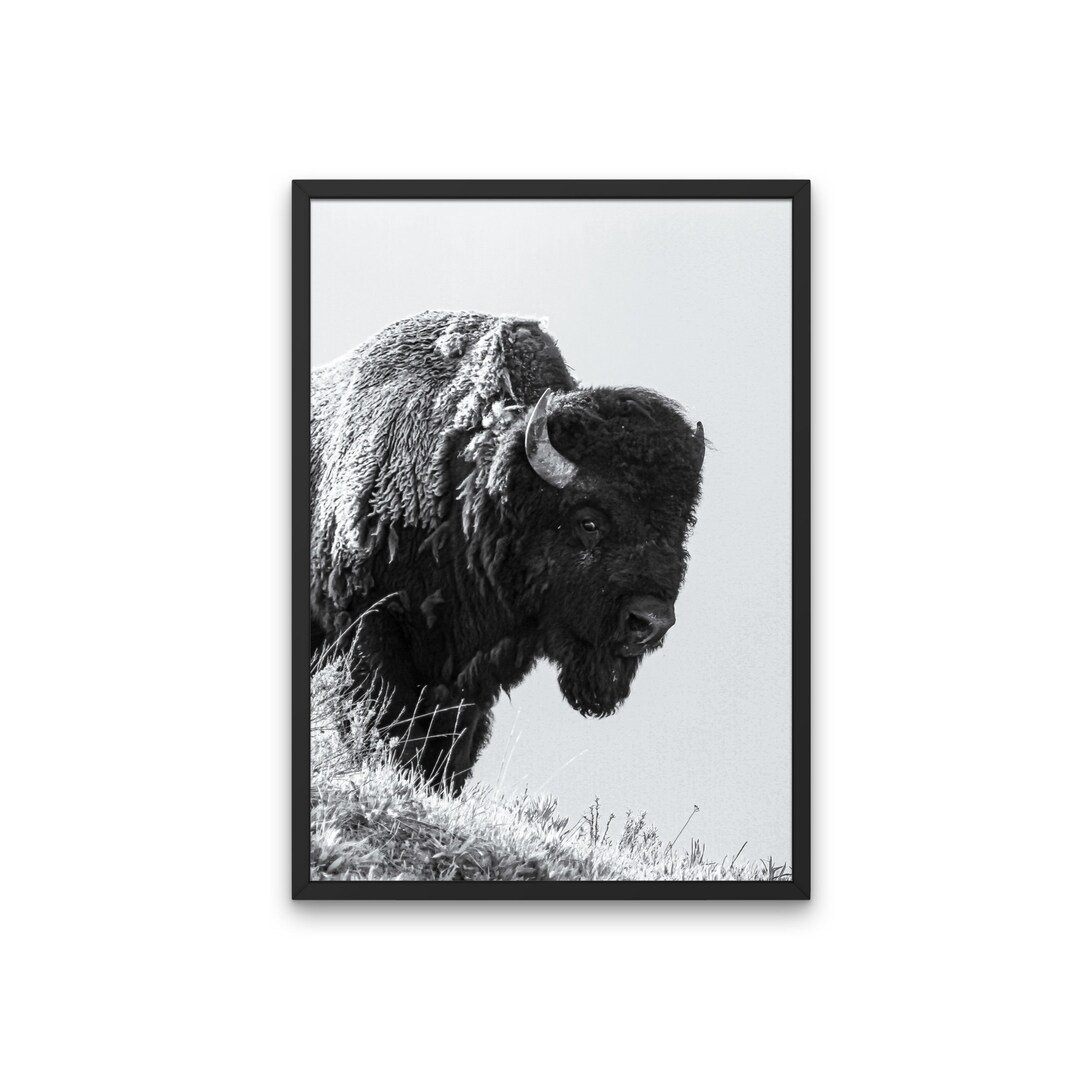 Buffalo Photography Print, DIGITAL Rustic Farmhouse Large Wall Art ...