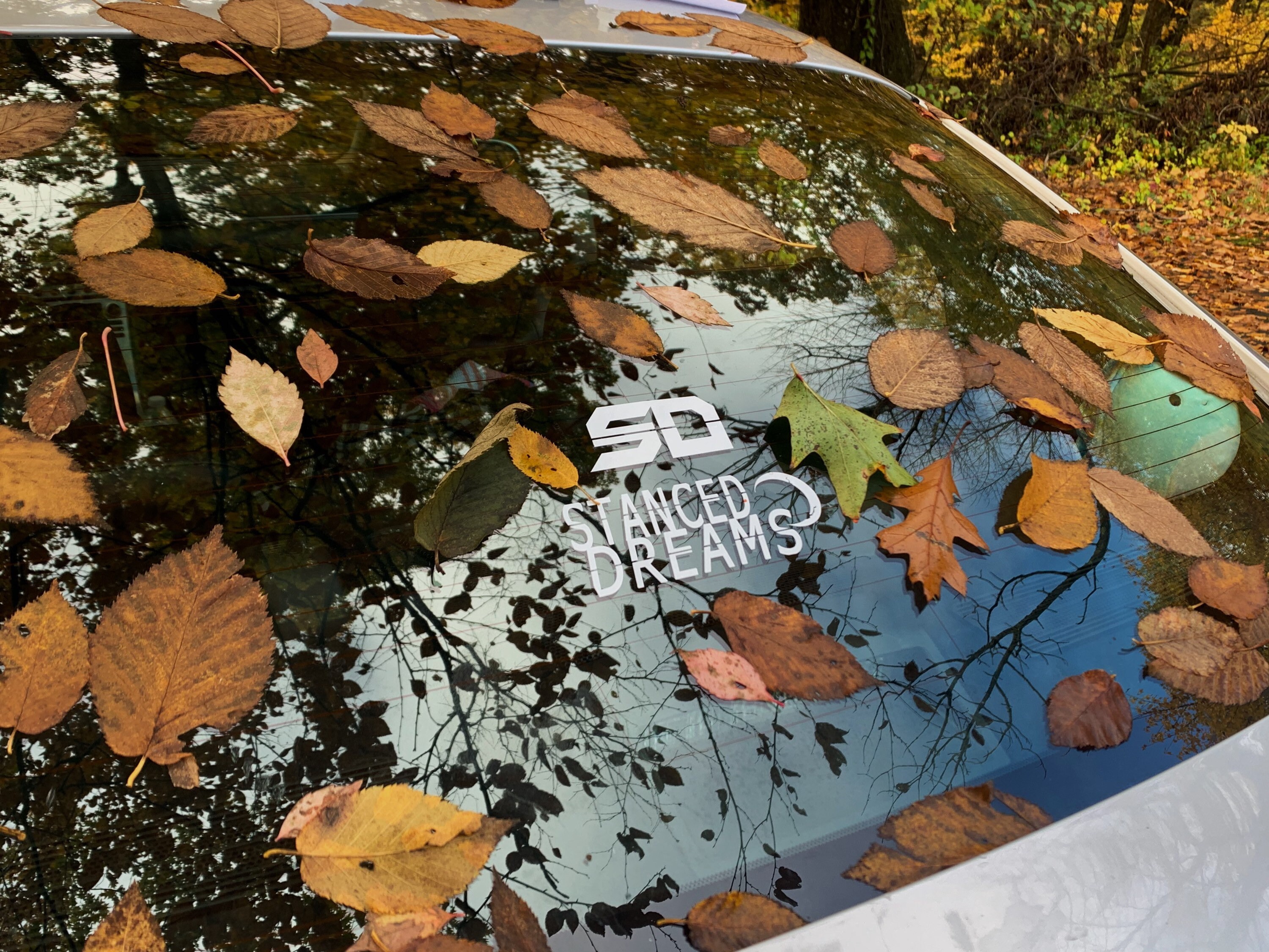 Stanced Dreams Logo - Etsy