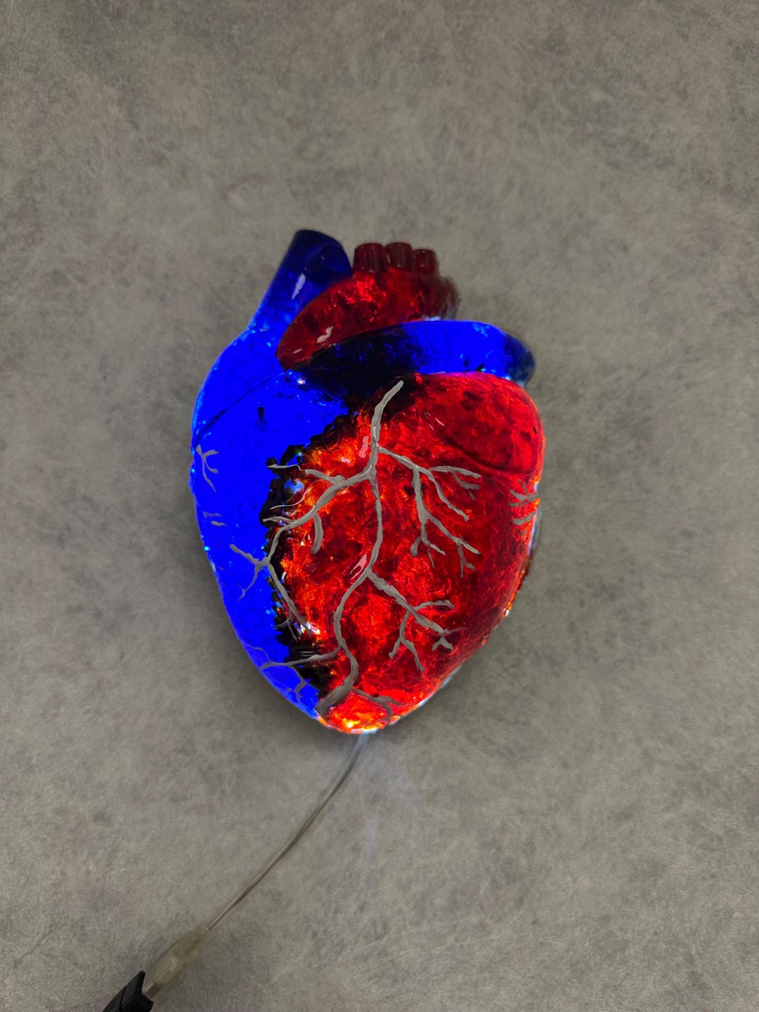 Human Heart Wall Sconce/night Light - Etsy
