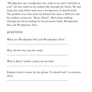 The Rather Boring Book of Comprehension Passages - Etsy