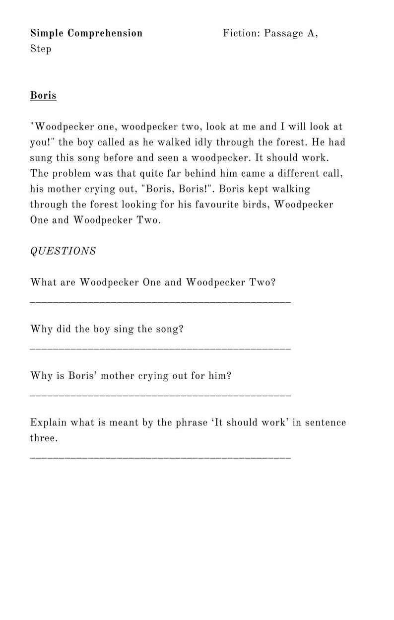 The Rather Serious Book of Comprehension Passages - Etsy