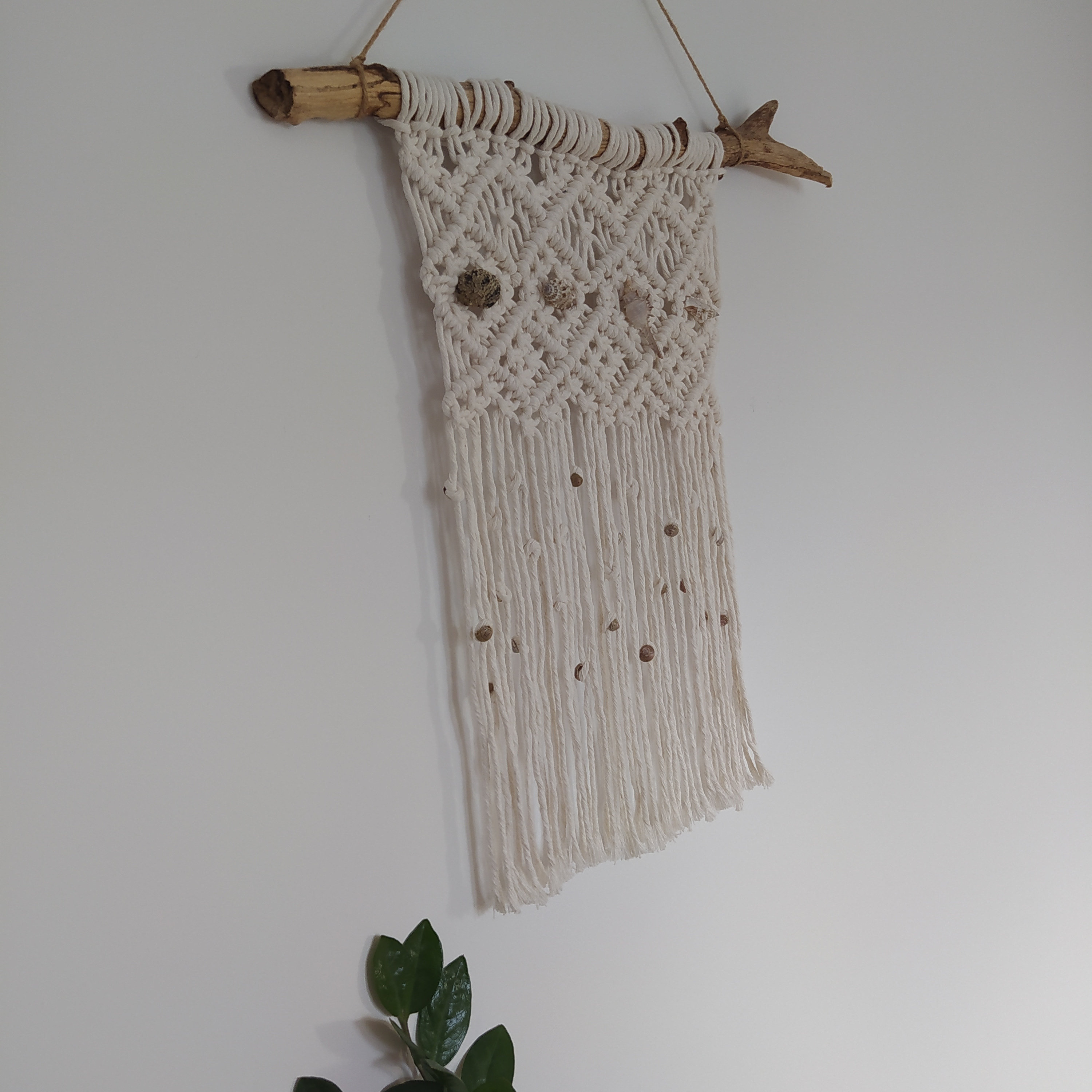 Macrame Vaiana With Shells / Macrame Wall Hanging / Macrame - Etsy