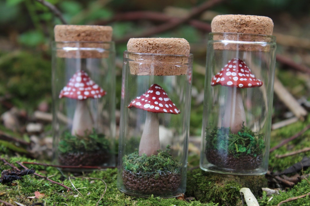 Mini Mushroom Specimen Jars | Handmade Polymer Clay | Cottage Core ...